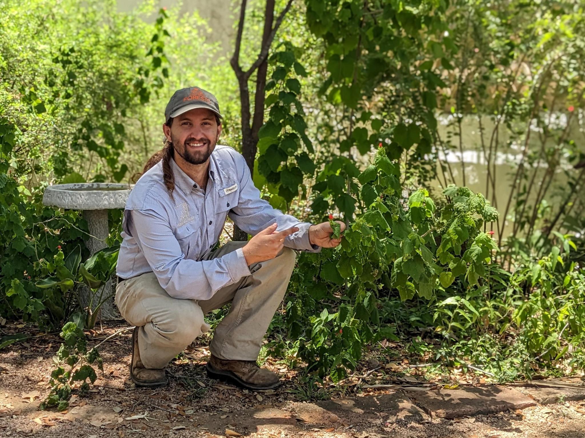 Valley plants program set for Oct. 3 at Quinta Mazatlán | The Advance ...